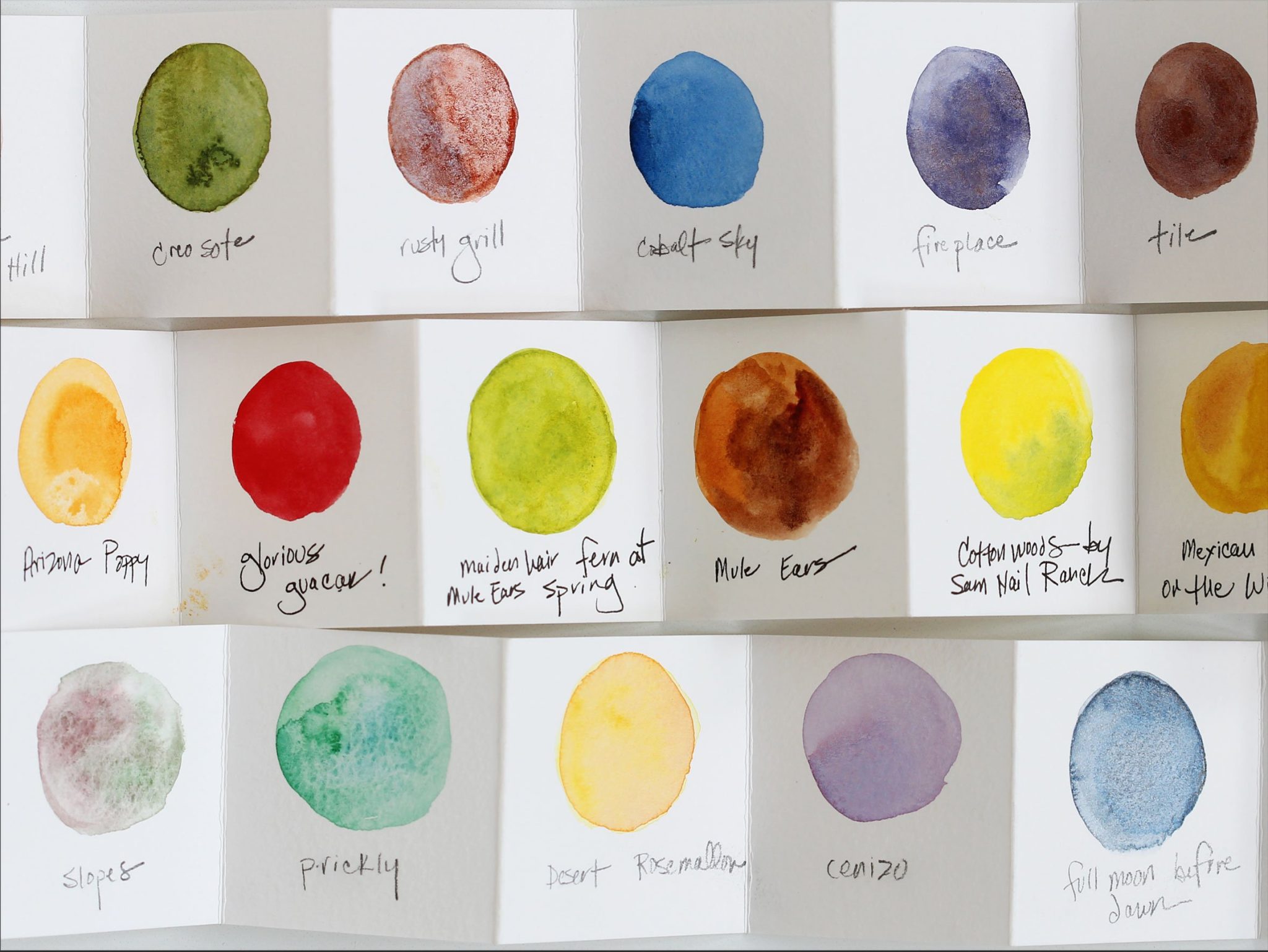 Nature Spots – Lisa Spangler