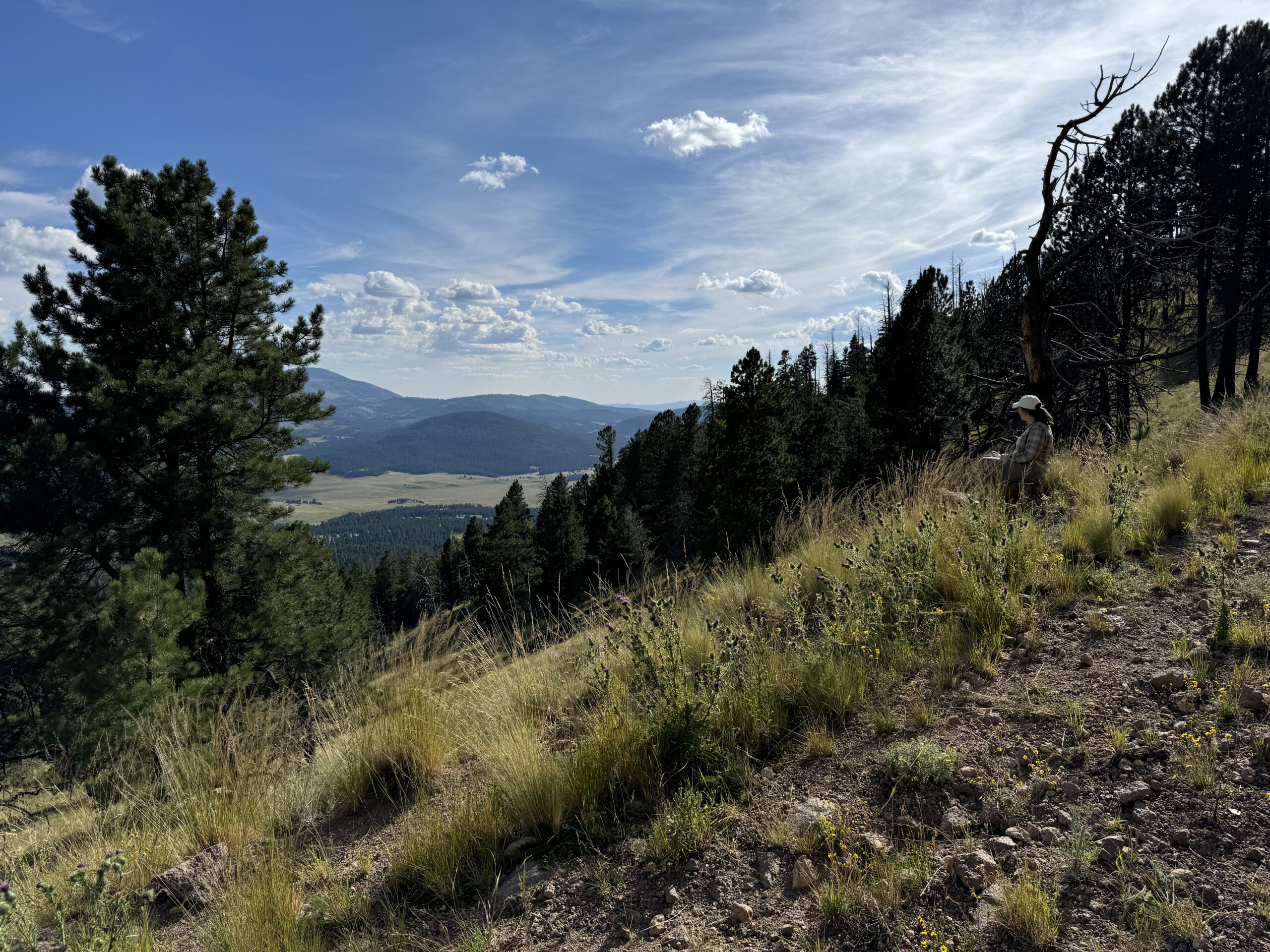 Valles Caldera National Preserve – Lisa Spangler