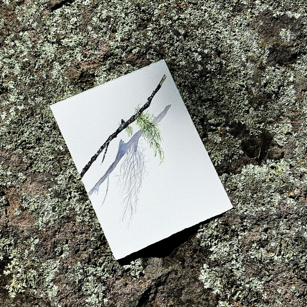 Lichens – Lisa Spangler