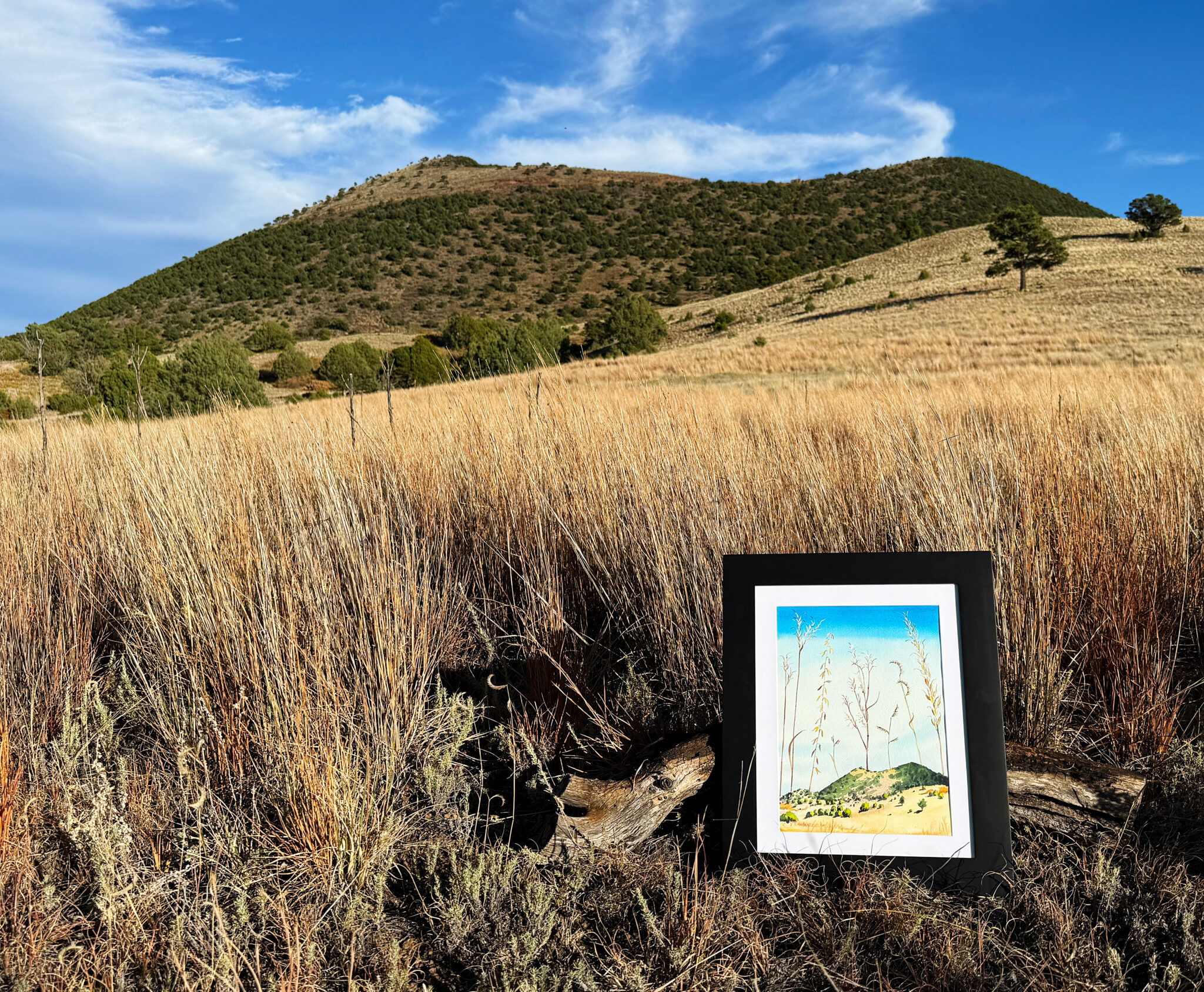 Capulin Volcano National Monument – Lisa Spangler